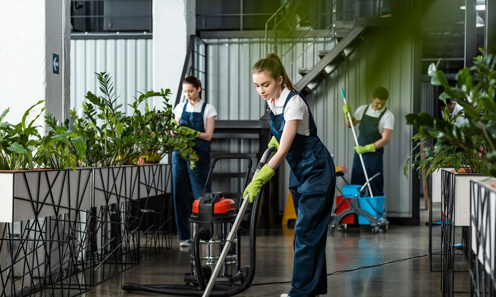 Green cleaning services store